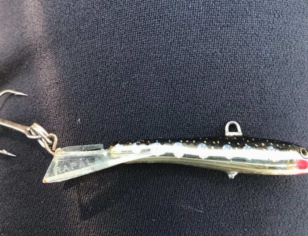 How To Fish a Wacky Worm - Jim Taibi's 661 FISHING How To Fish a Wacky Worm